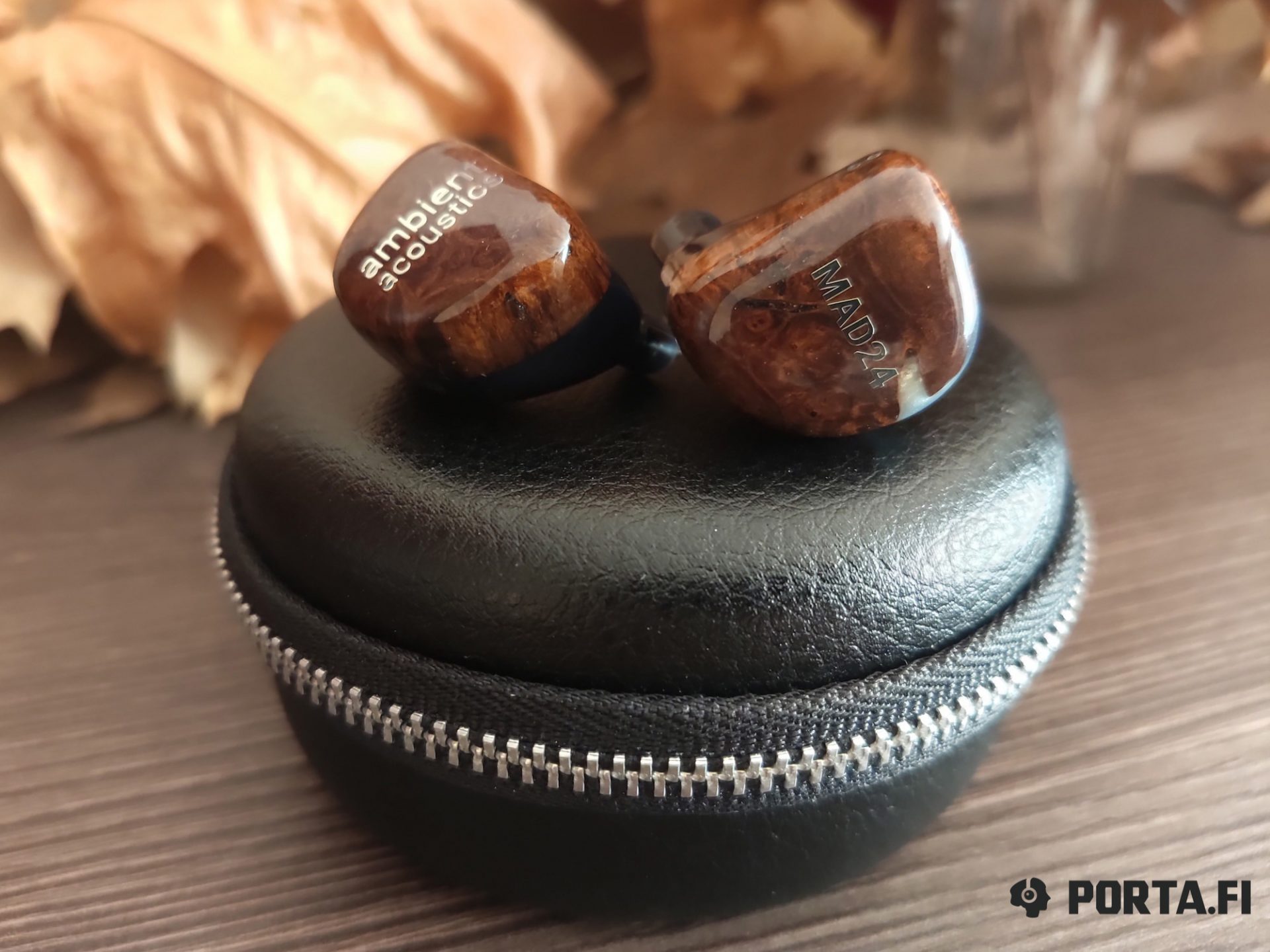 Ambient Acoustics Mad24 IEM review — Mad Max - Porta Fi